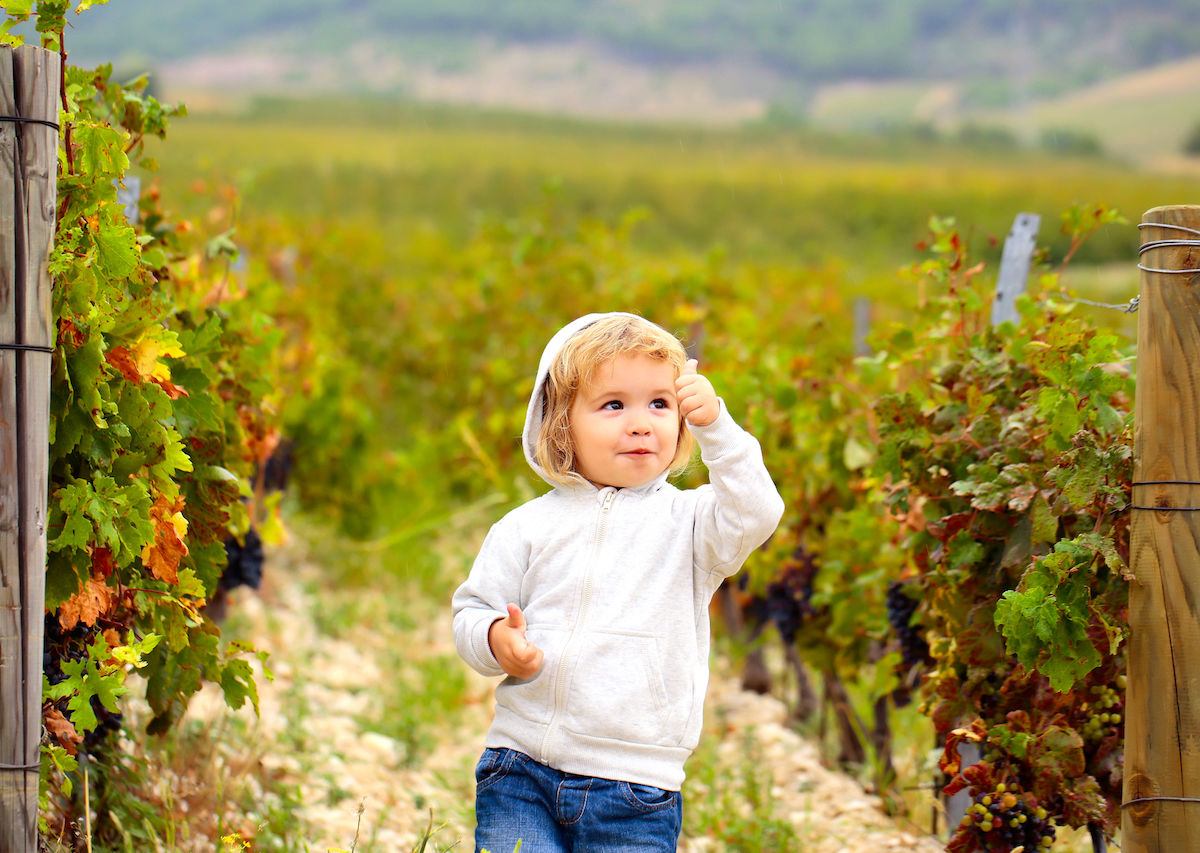 California Wine Country With the Kids