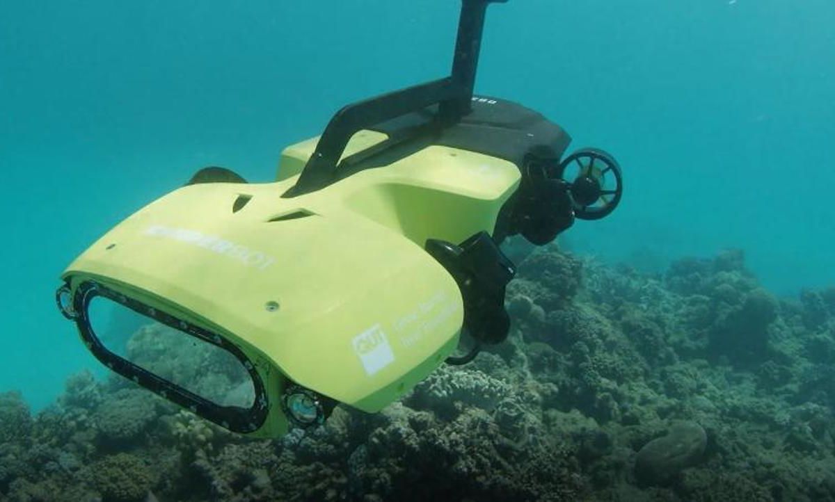 Australia Develops Robot to Kill Great Barrier Reef Predators