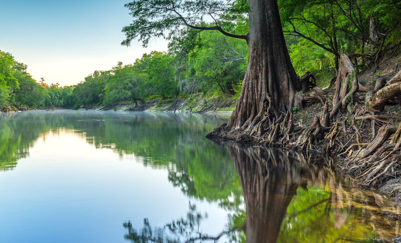How to Hike the Florida National Scenic Trail