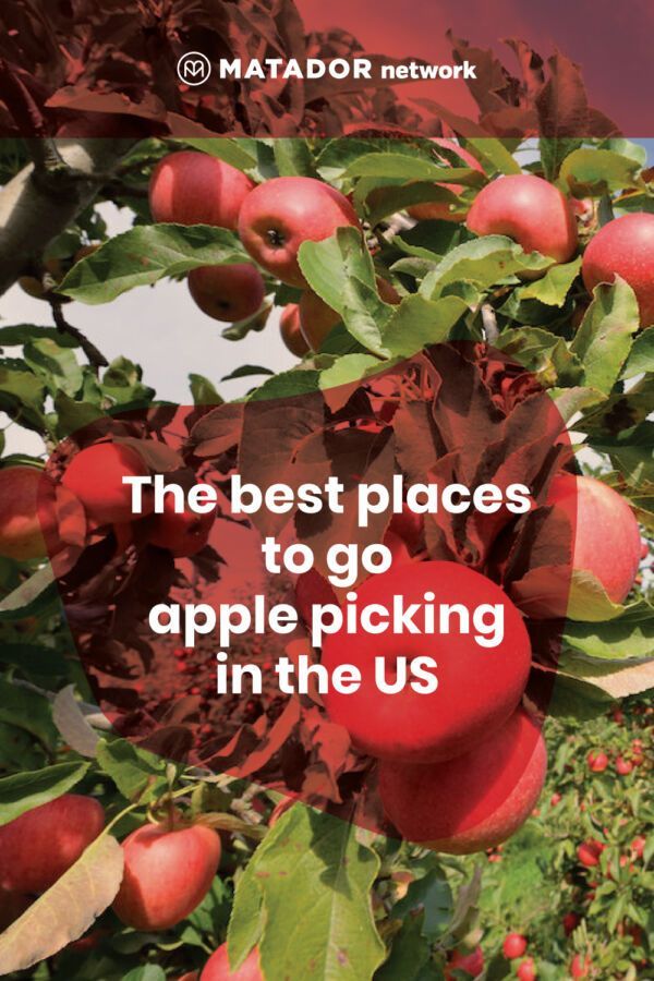 7 Beautiful Apple Orchards to Visit This Fall