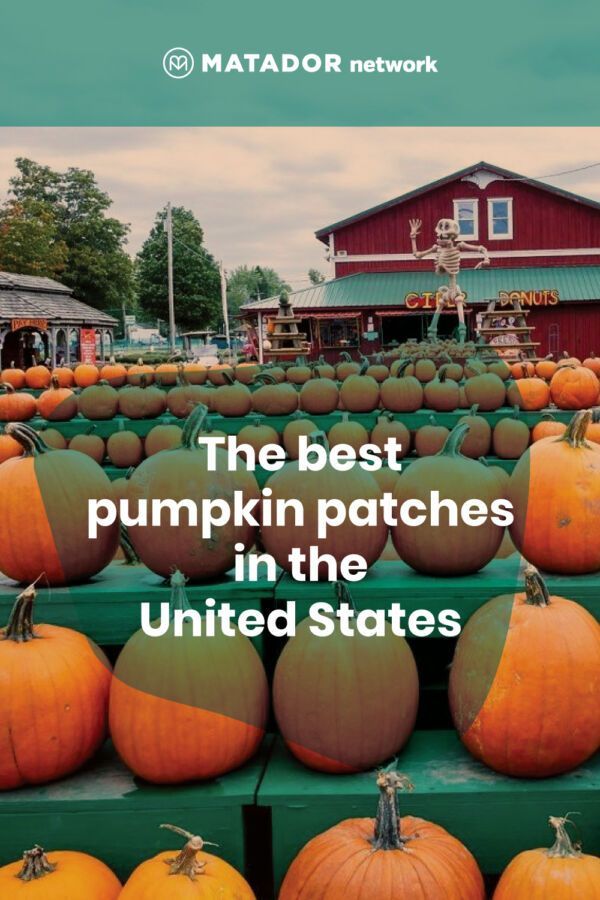 The 9 Best Pumpkin Patches in the US