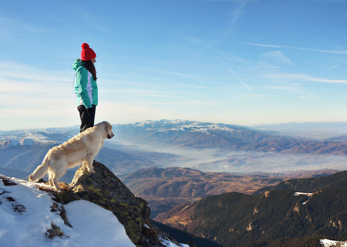 How to Go Hiking, Climbing, and Camping With Your Dog