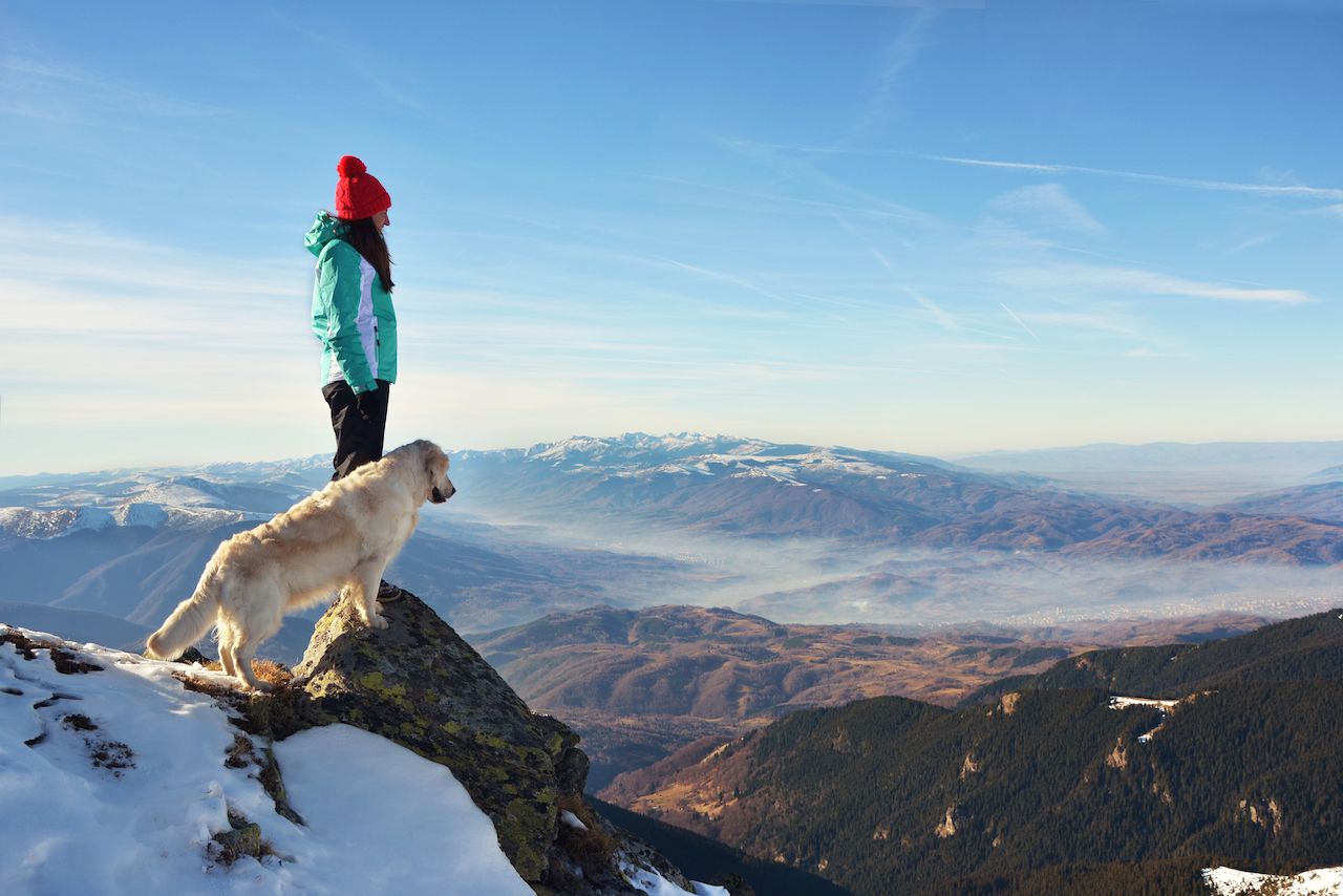 How to Go Hiking, Climbing, and Camping With Your Dog