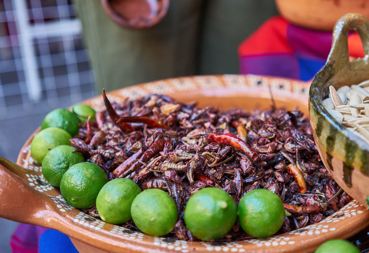 5 Edible Latin American Bugs You Can Eat on Your Next Trip