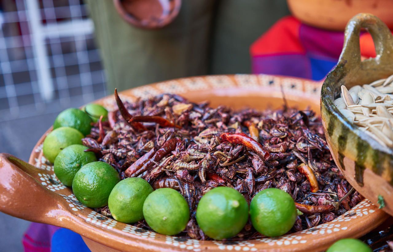 5 Edible Latin American Bugs You Can Eat on Your Next Trip
