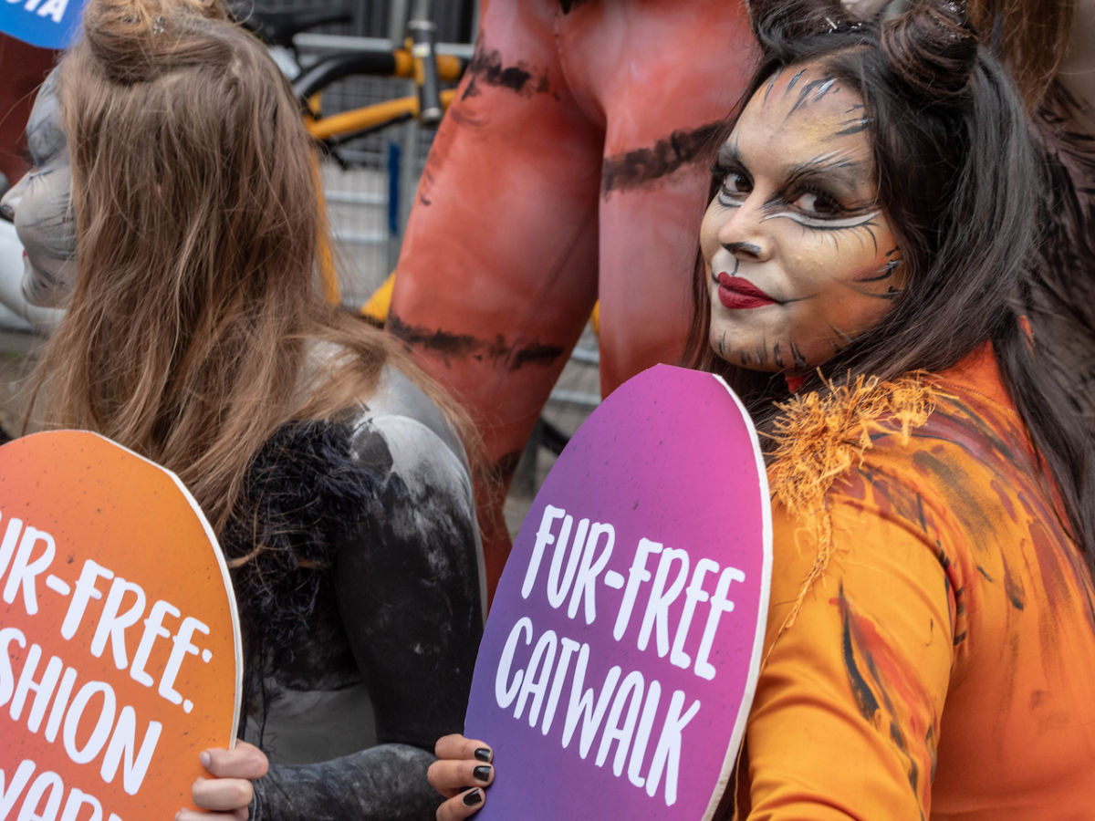 PETA: Gone Too Far This Time?