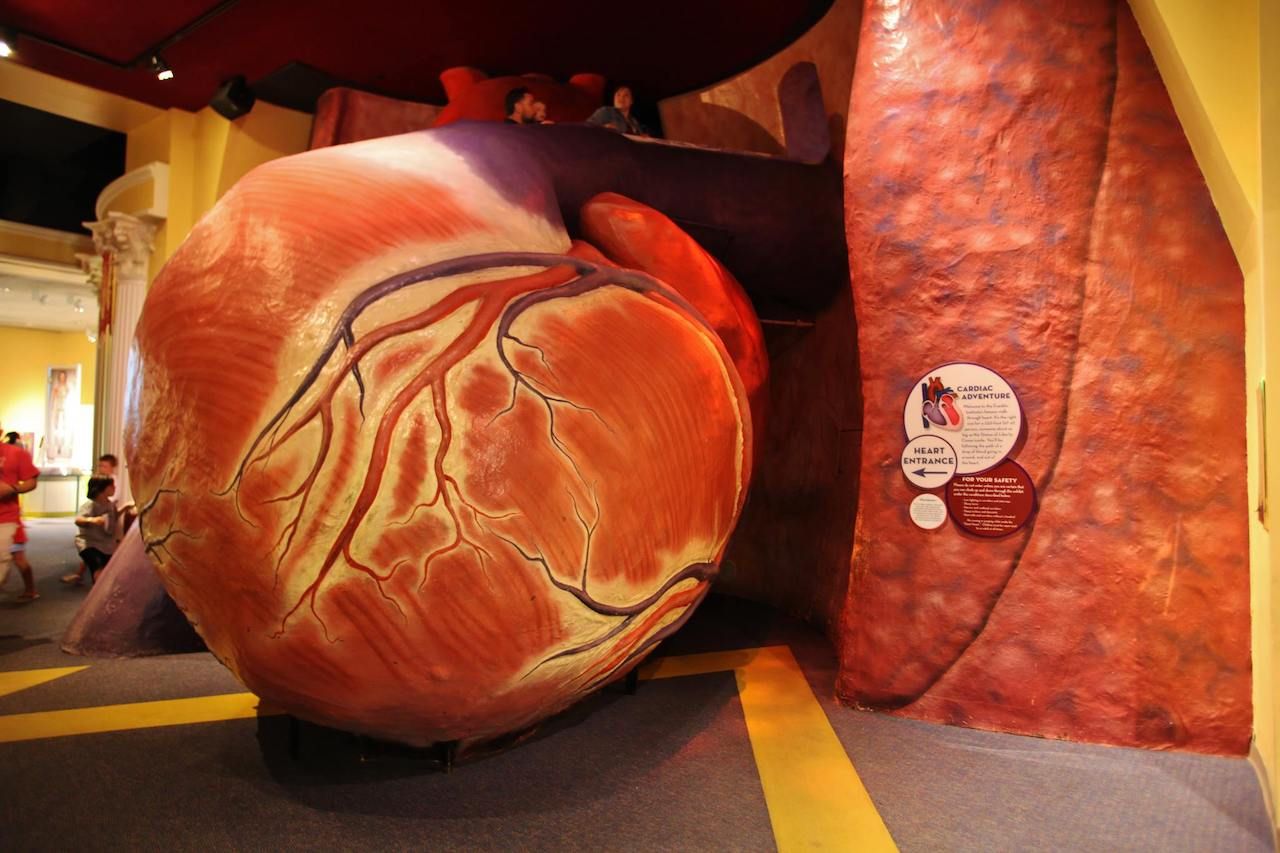 Rites of Passage in Philadelphia