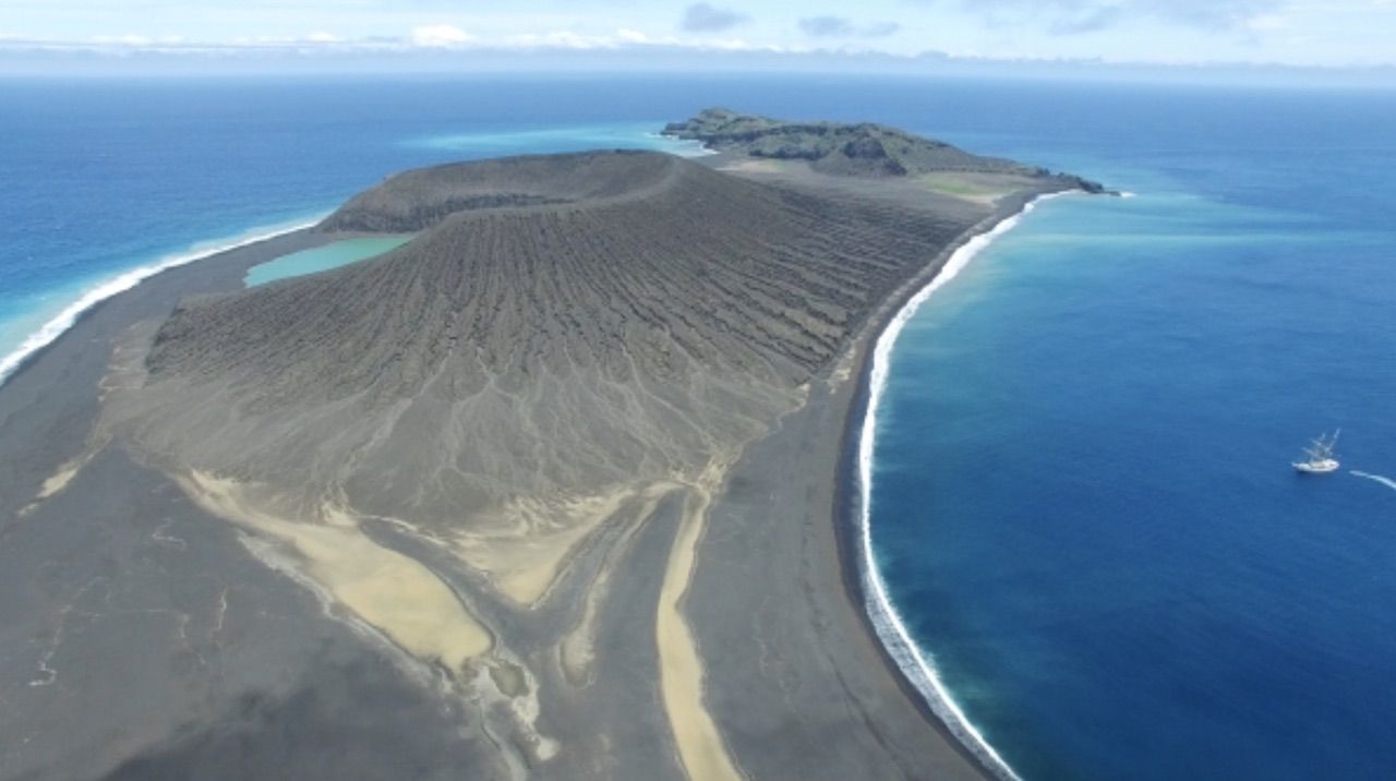 Birds and Flowers Already Calling New Tonga Island Home