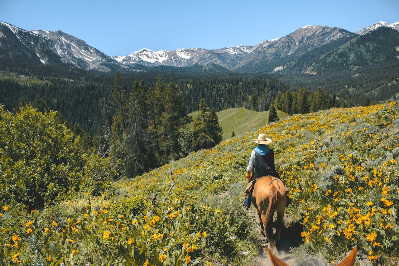 The Best Horseback Trail Riding in Minnesota, the Grand Canyon, and the US