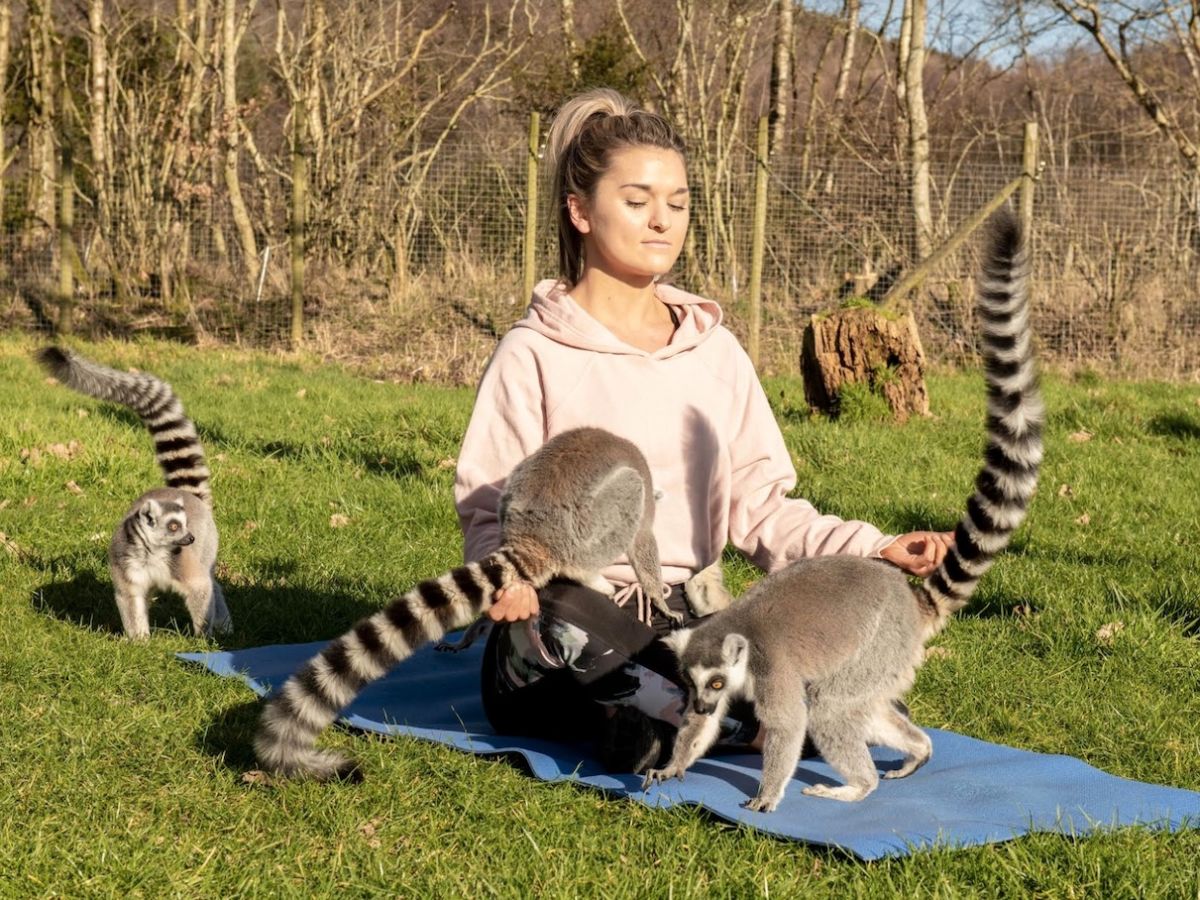 Outdoor Yoga With Lemurs