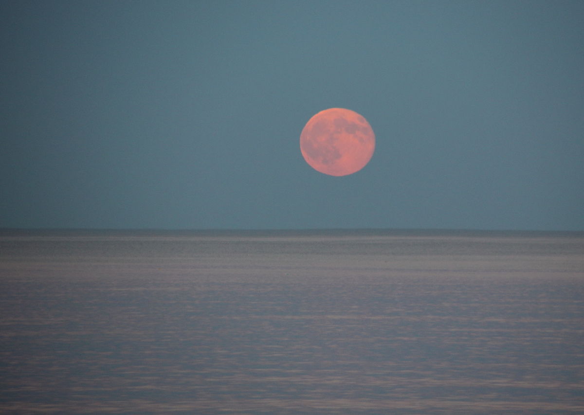 When Is the Pink Moon and How to See It