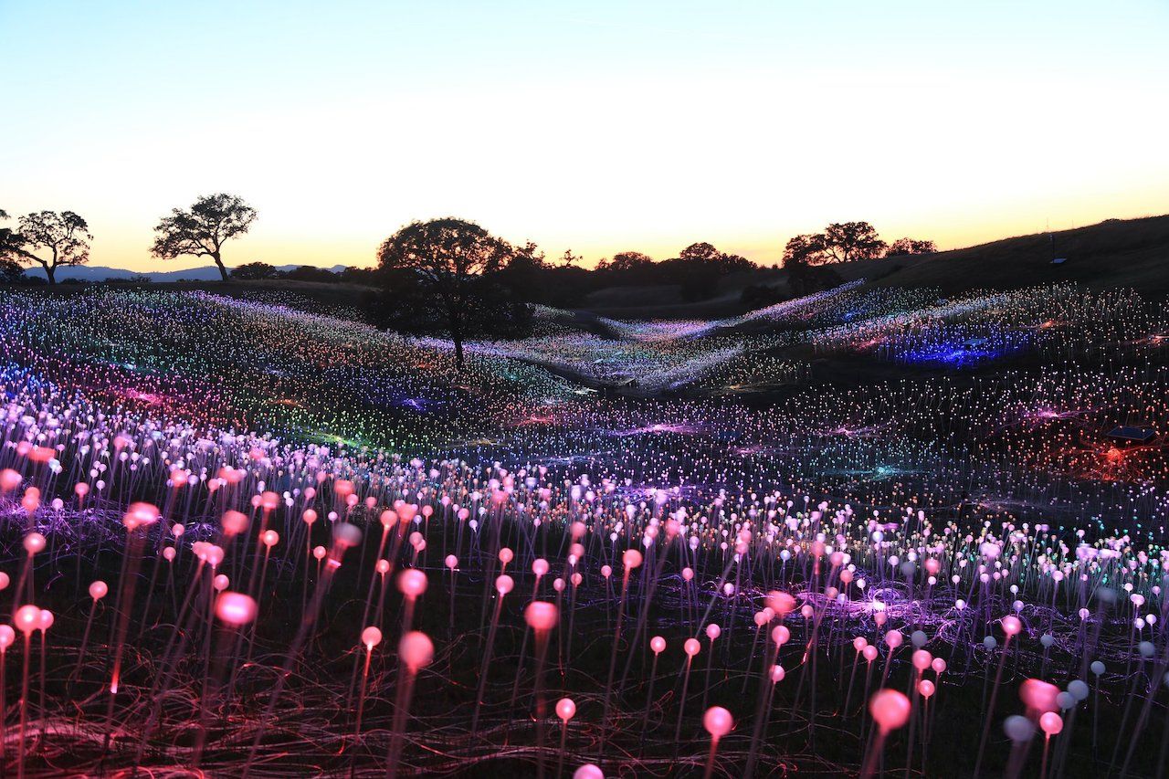 What to Know About Bruce Munro’s ‘Field of Light’ Installation in ...