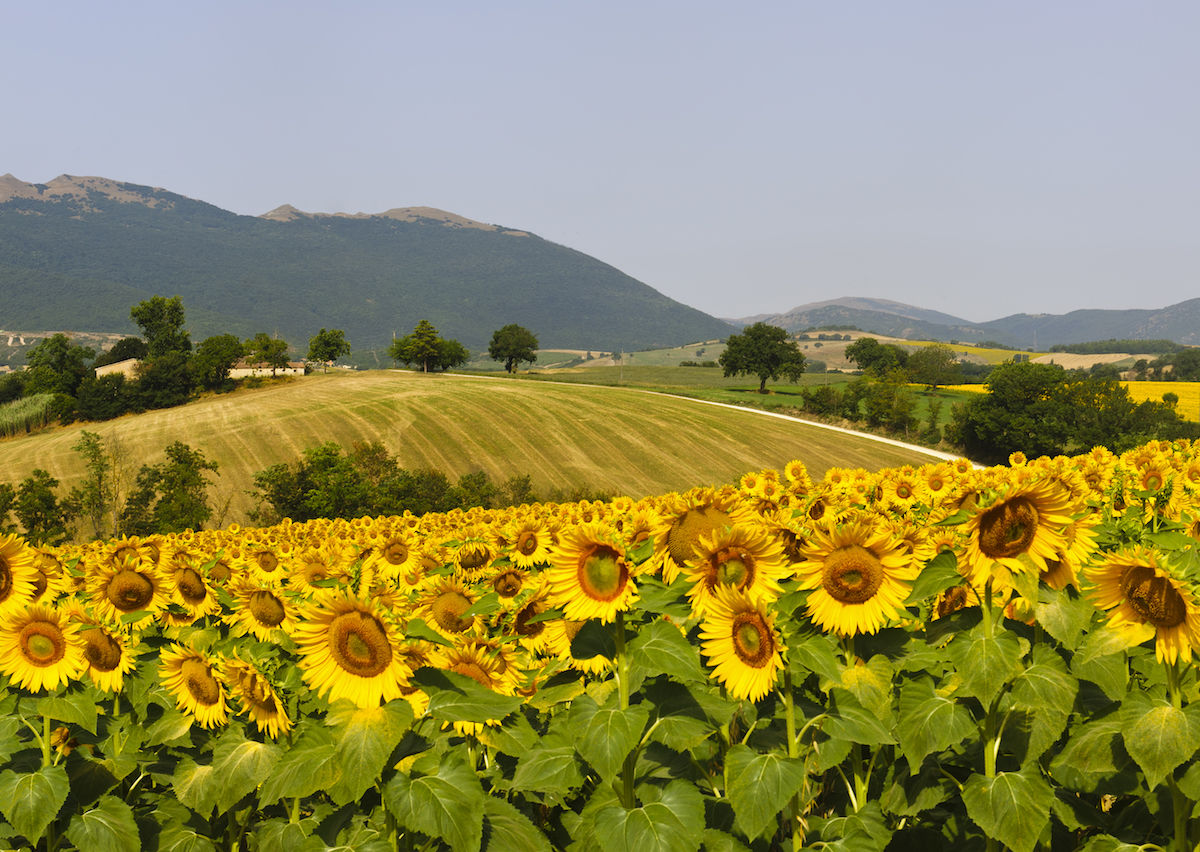 The Best Things to Do in Marche, Italy