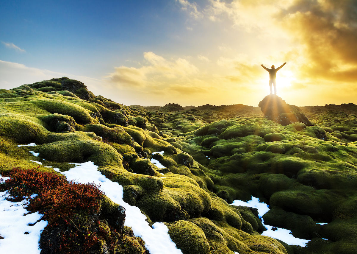 The Most Exuberant Summer Solstice Celebrations