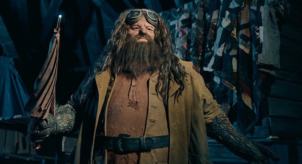 Hagrid Ride Opening at Wizarding World of Harry Potter Review