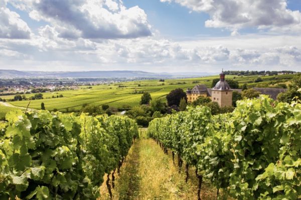 Visiting Germany’s Rheingau Wine Region Guide and Best Riesling Tastings