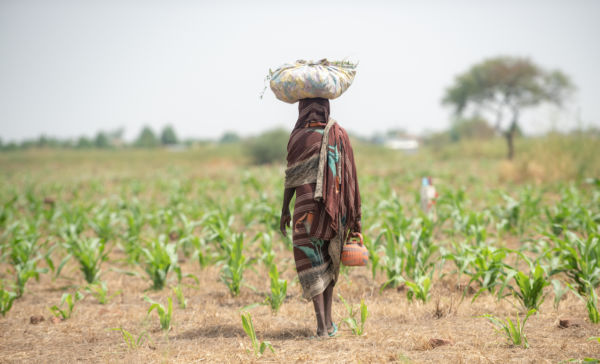 5 Ways to Help the East African Famine Victims