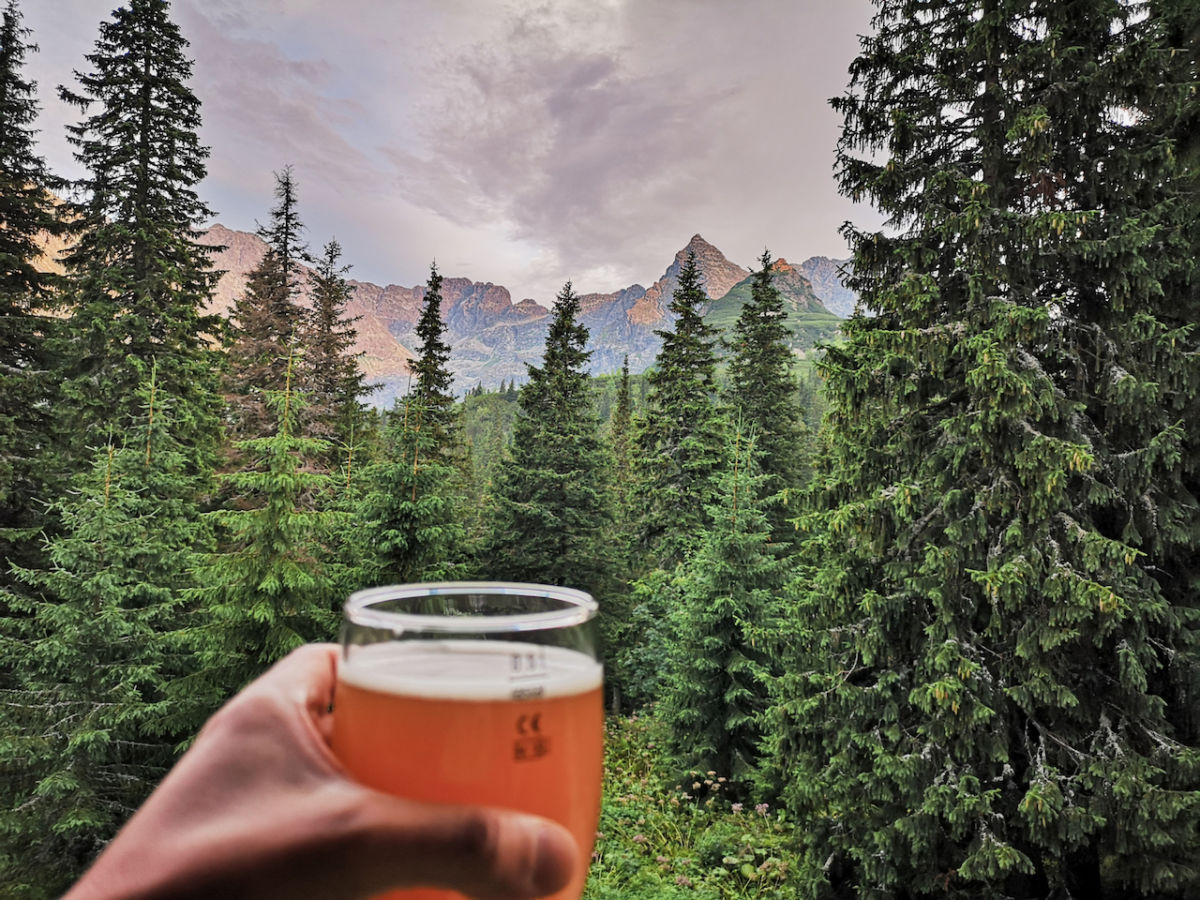 Hidden Busch Pop-Up Bar in National Forest