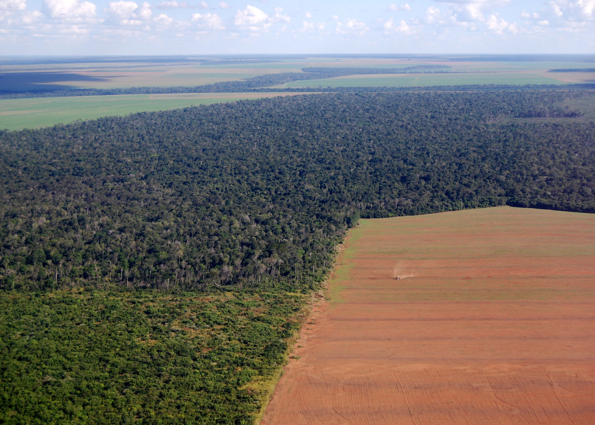 Two-and-a-Half Acres of the Amazon Lost Every Minute