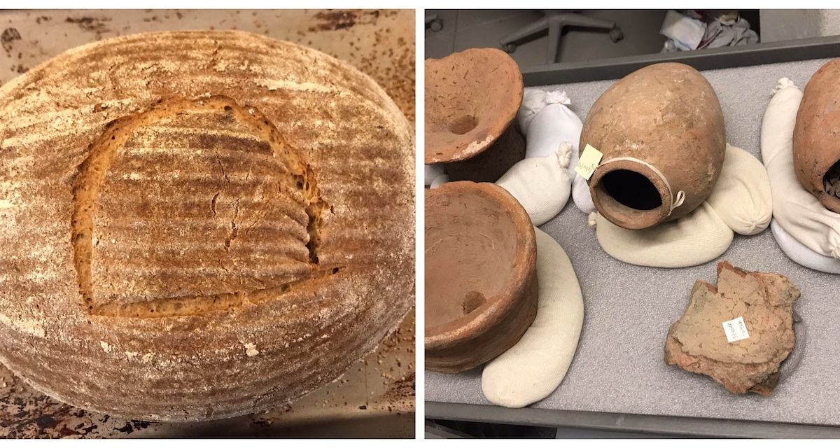 Scientists Extracted Dormant Bread Yeast From Ancient Egyptian Pots