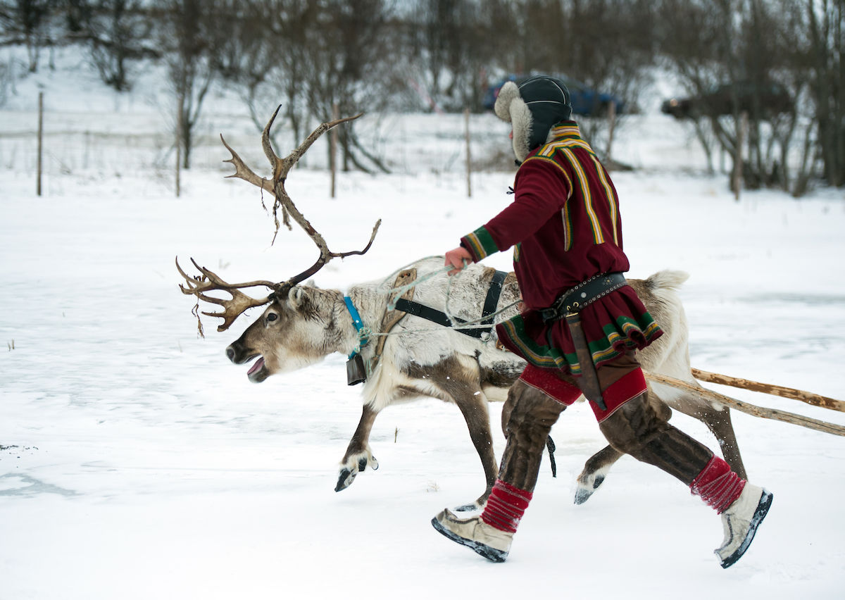 Sweden to Return Sami Remains