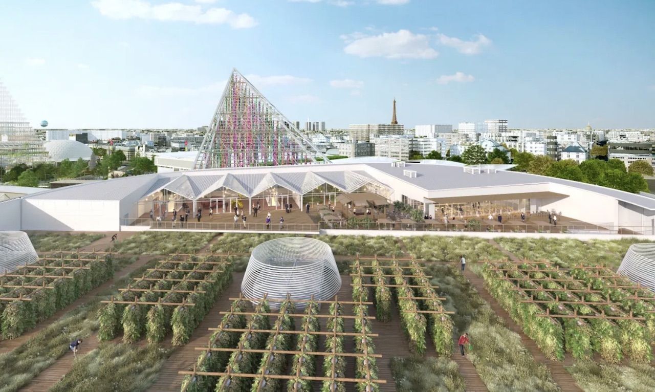 Paris Rooftop Farm Largest in the World