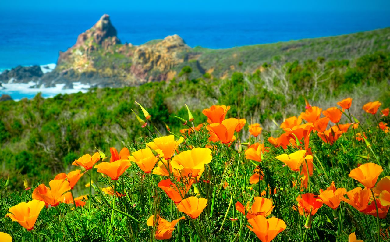 The Best Wellness Destinations in Northern California