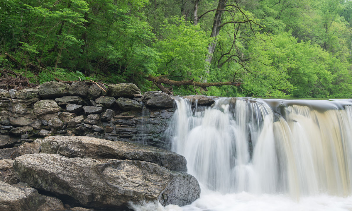 The Best Parks to Visit in Philadelphia