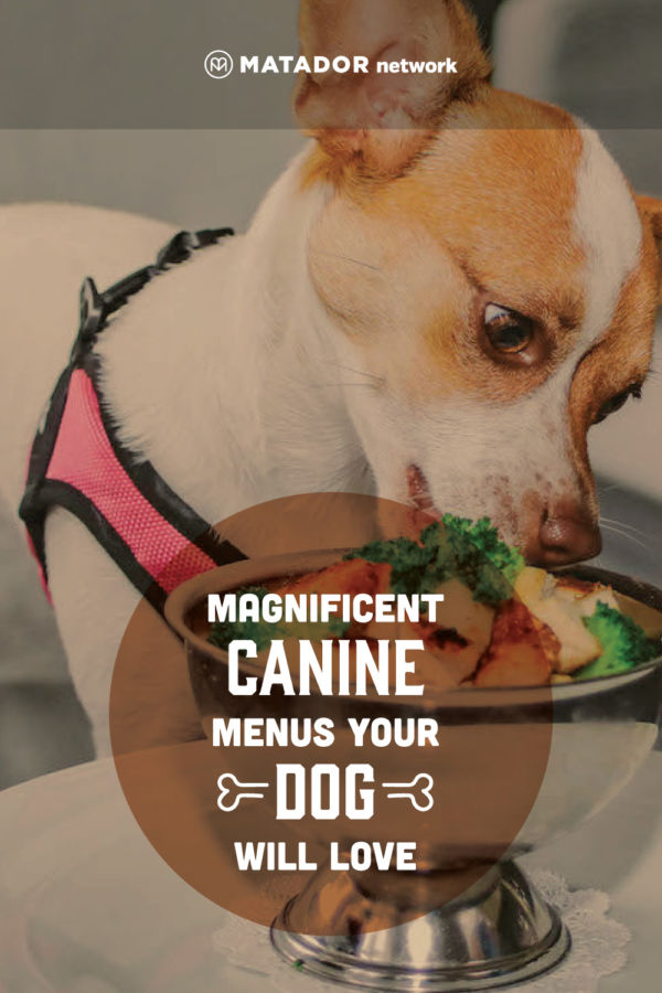 Restaurants With Dog Menus