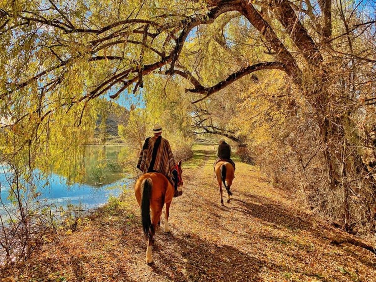 Different Types of Wellness Retreats Around the World