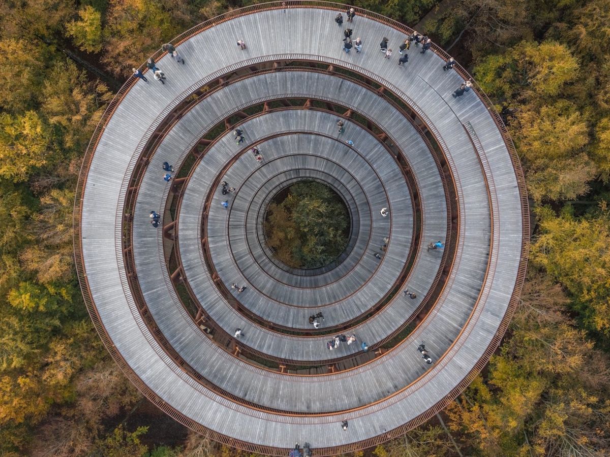Best Architectural Projects of 2019