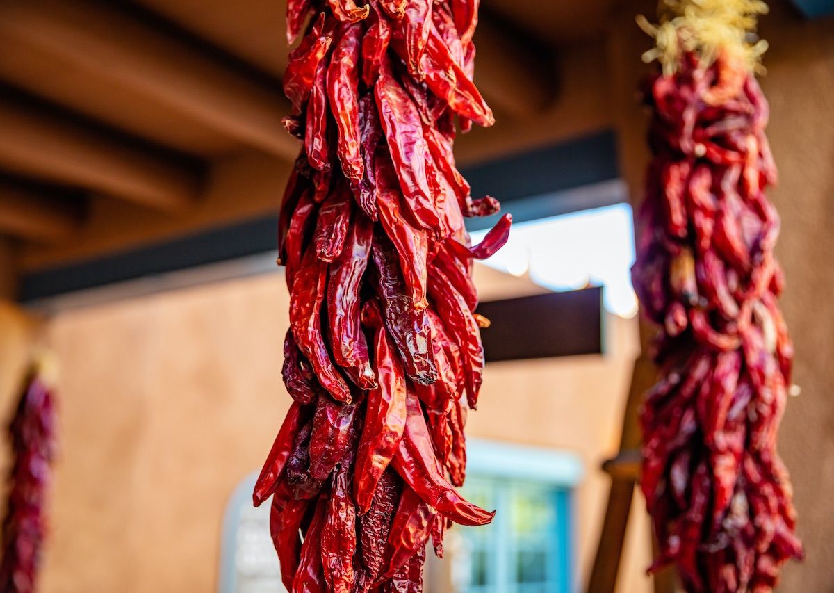 20 Albuquerque Bars and Restaurants Us Locals Live By