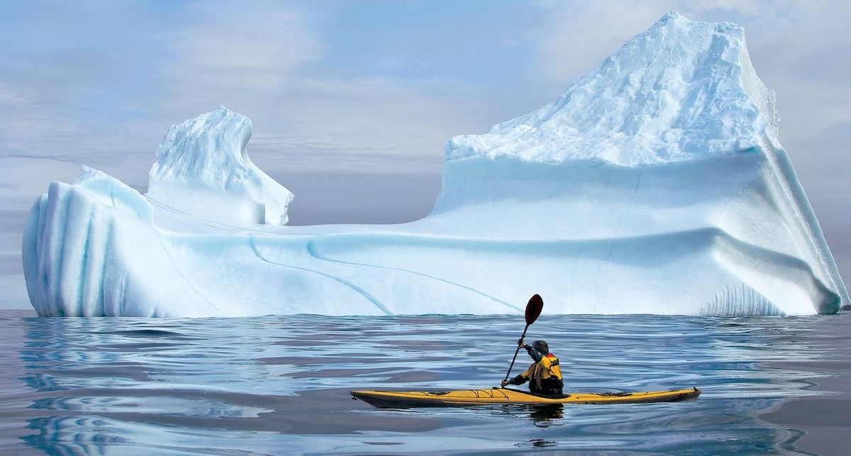 The Newfoundland and Labrador "Big 3": Whales, Seabirds, and Icebergs