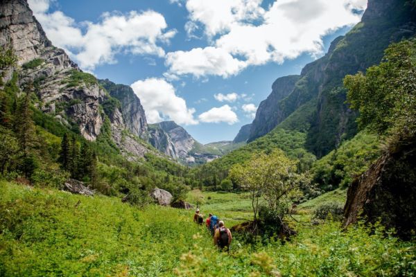 Newfoundland and Labrador: 7 Incredible Travel Experiences