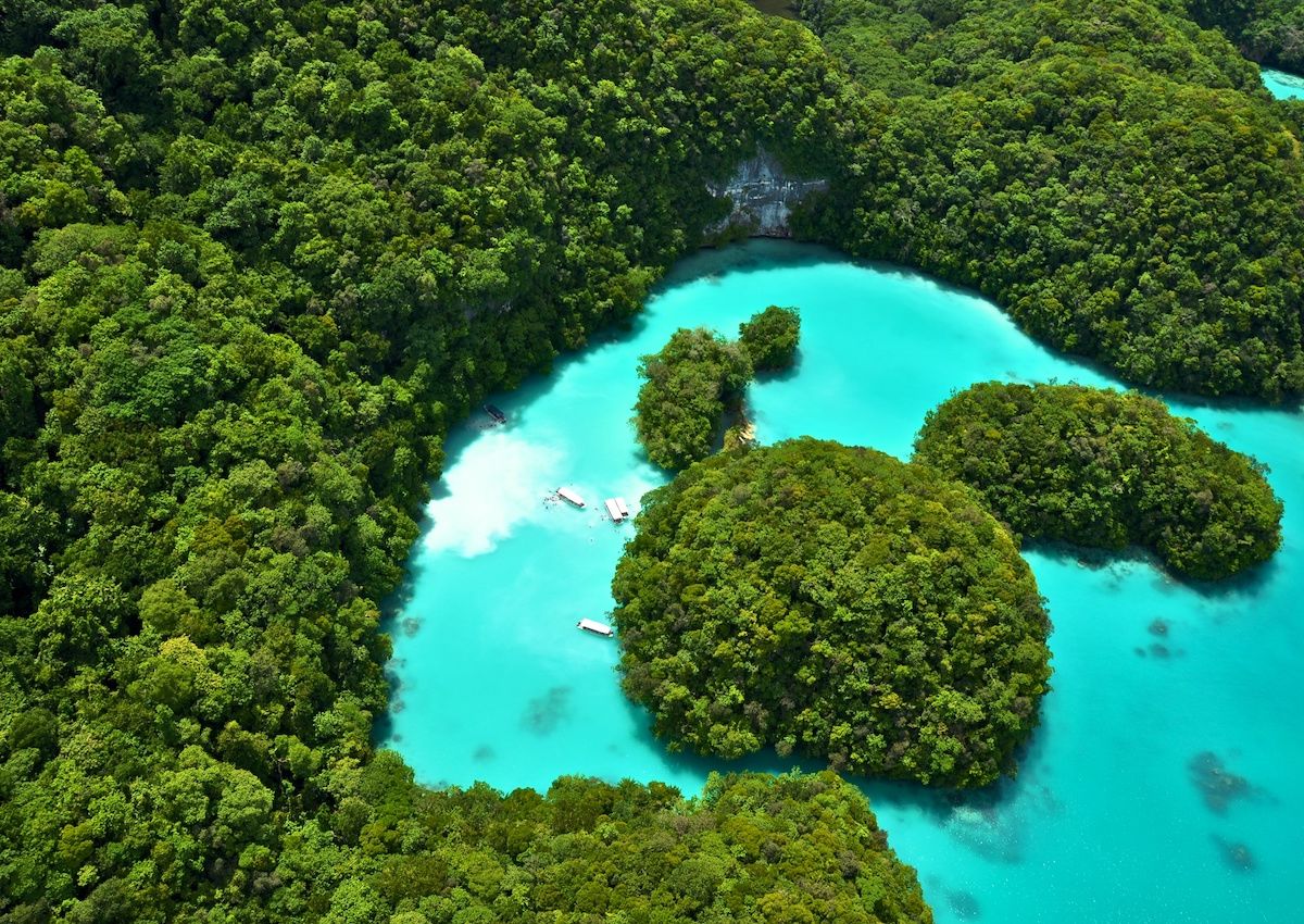 6 Ways to Get in the Water in Palau