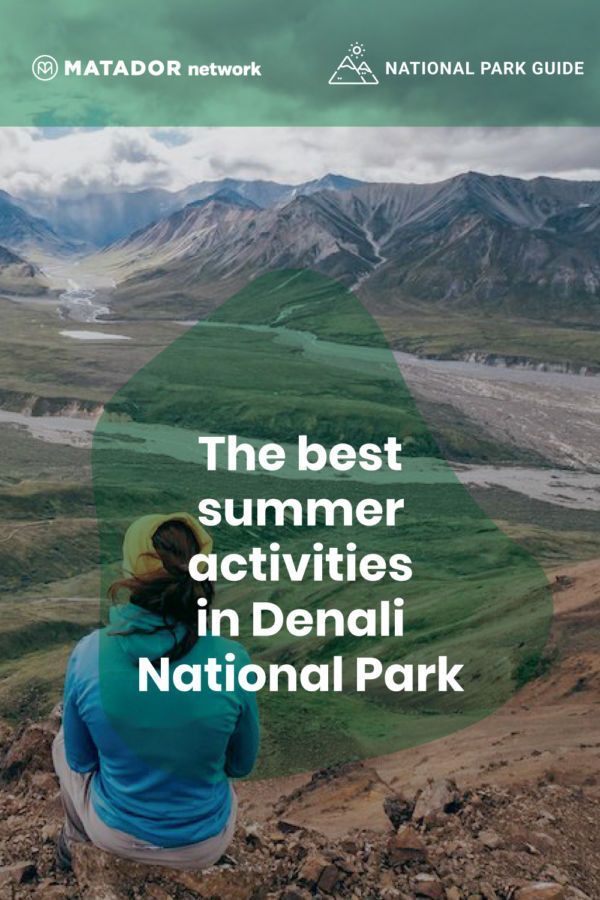 Best things to do in Denali National Park in summer
