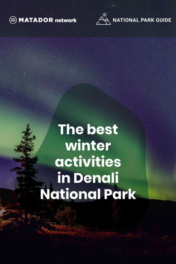 What to do in Denali National Park in winter