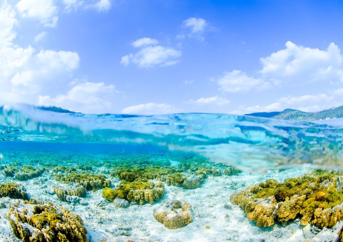 Best Scuba Diving Sites Near Tokyo, Japan