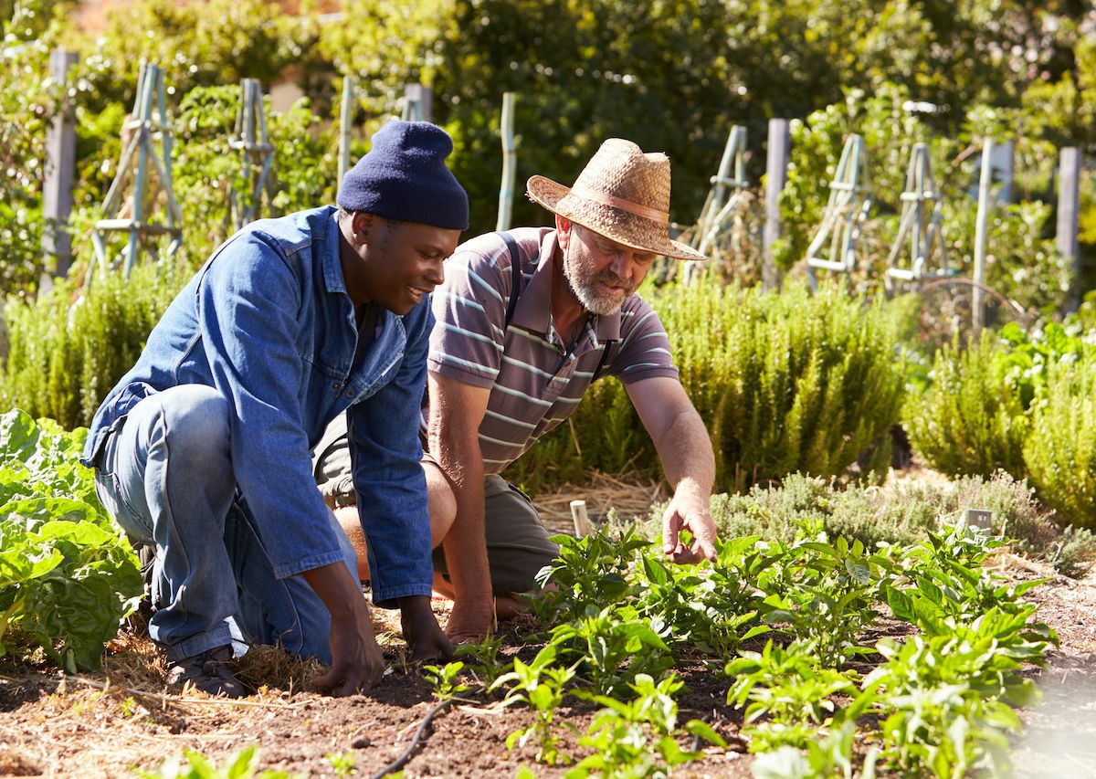 Best Community Gardens in the US
