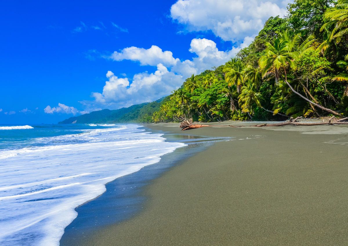 The Best Things to Do on Costa Rica’s Osa Peninsula