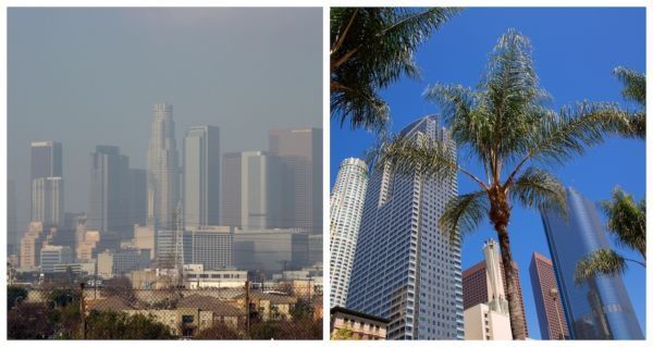 Dramatic Decrease in Air Pollution During COVID-19 Lockdowns