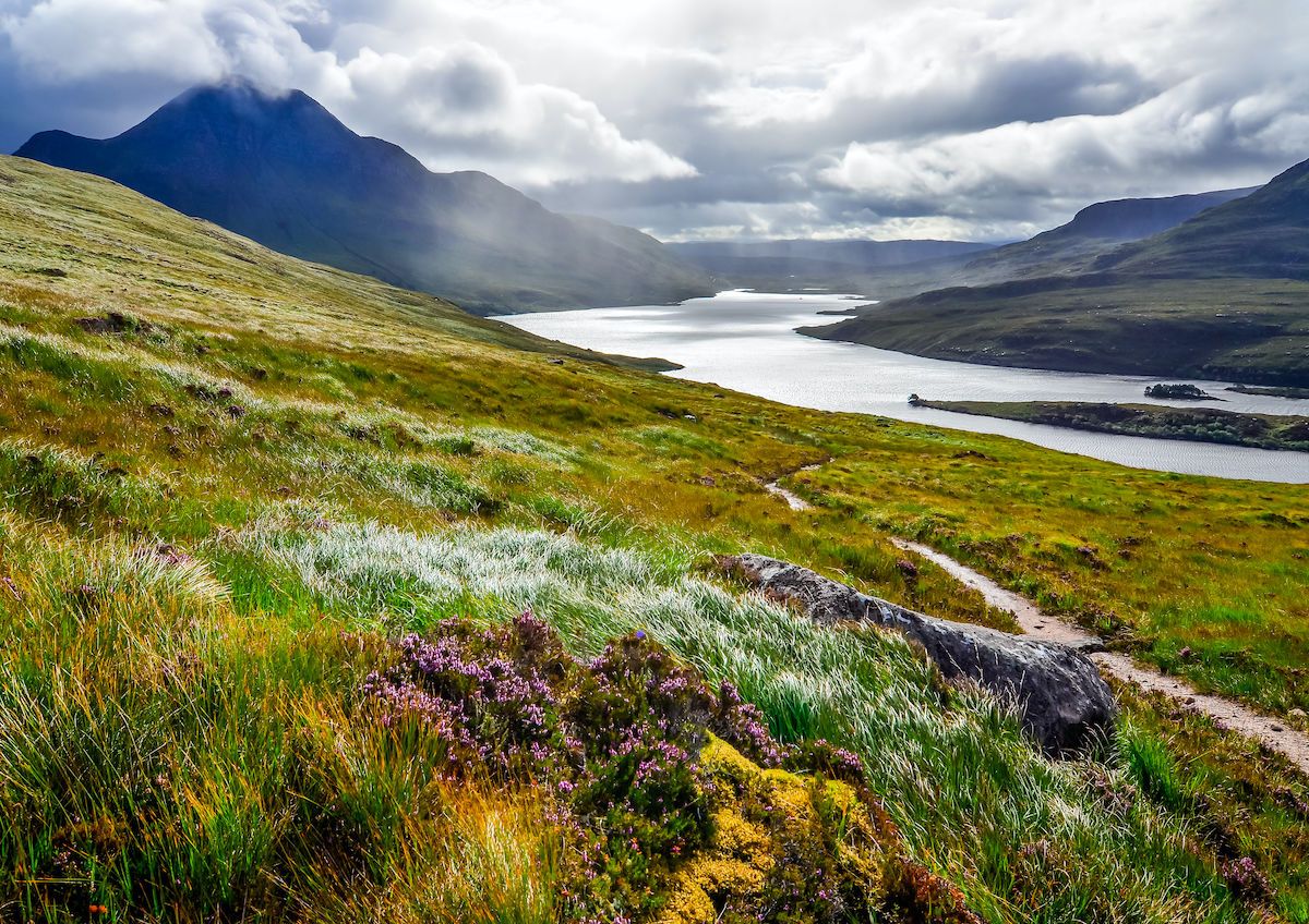 Positive Environmental News for the First Week of April, 2020