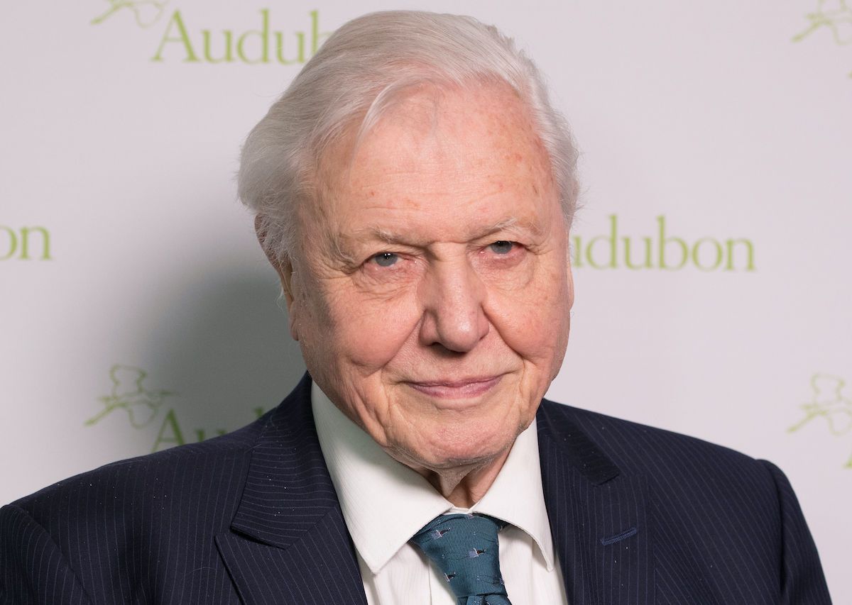 David Attenborough Asks World Leaders to Take Action on Environment Now