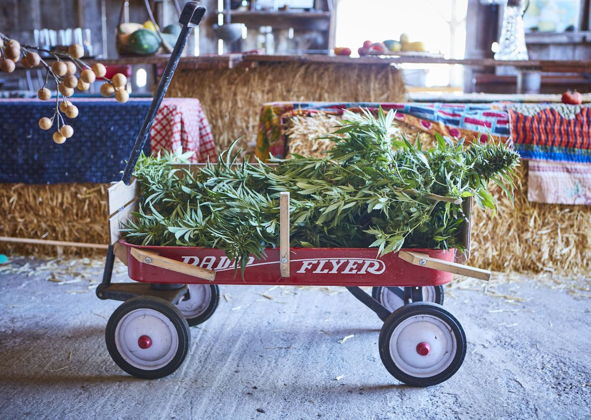 The Weed Wagon