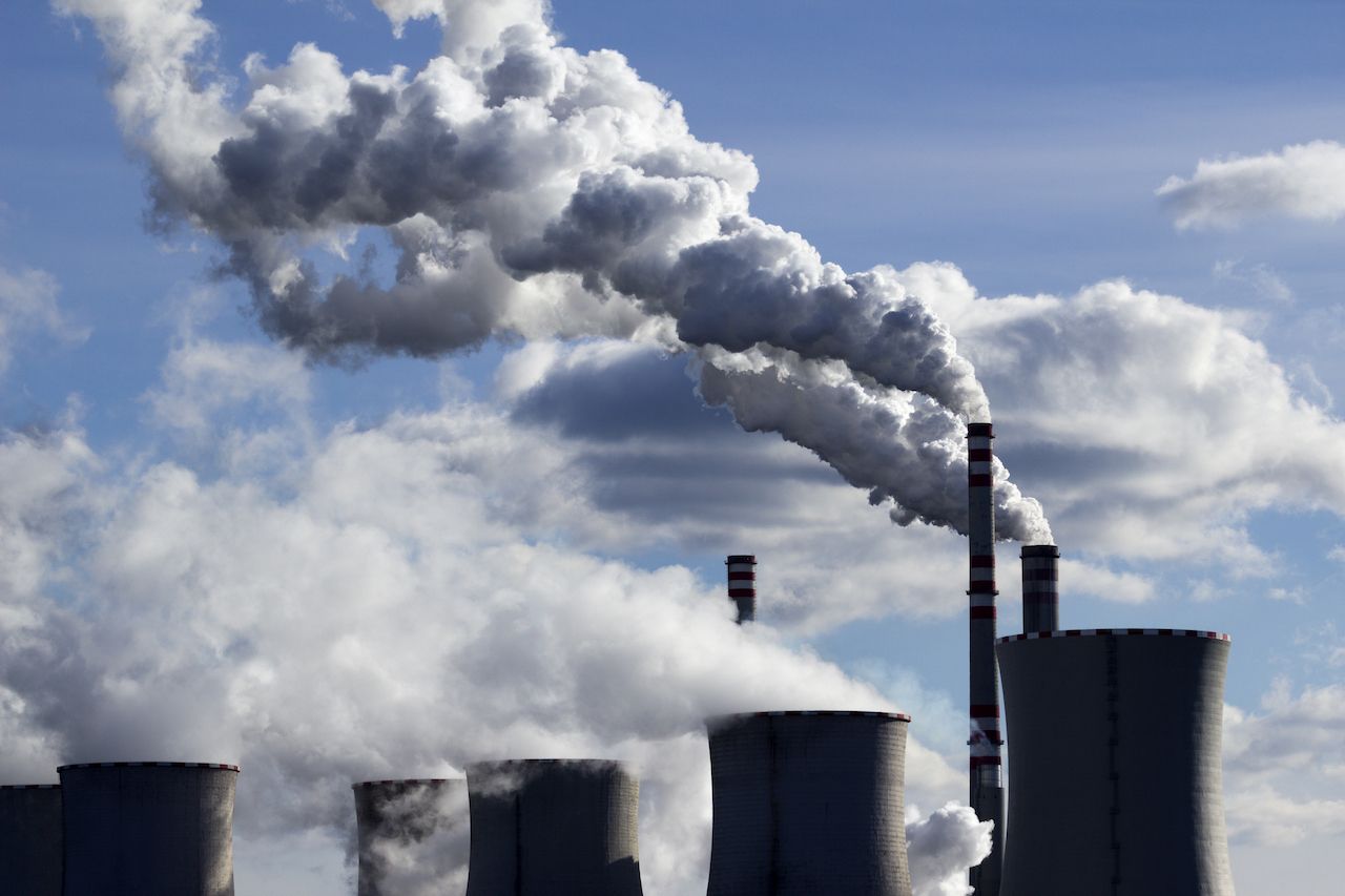 Positive Environmental News for the Third Week of June, 2020