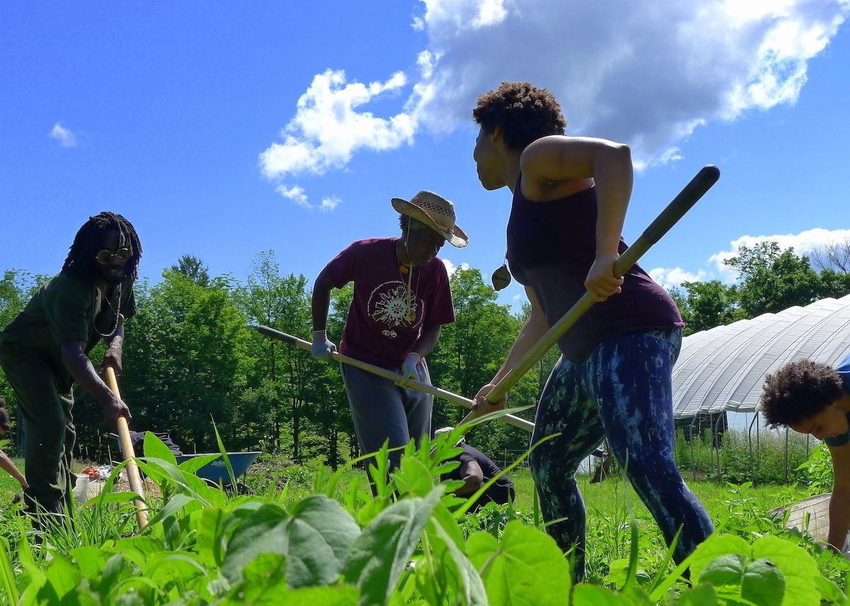 Co-Founder of Soul Fire Farm on How to Achieve Racial Equity in Agriculture