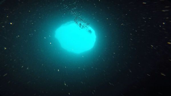 Scientists to Dive Into Green Banana Sinkhole Off Florida Coast