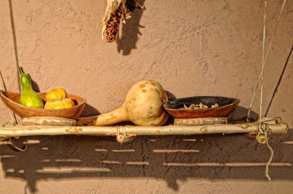 Three Sisters of Indigenous Agriculture