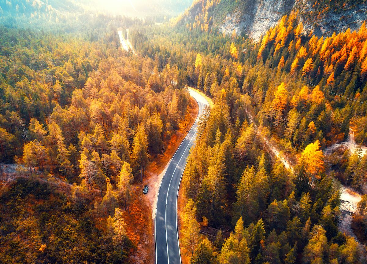 5 Fall Road Trip Tips for the Perfect Scenic Drive