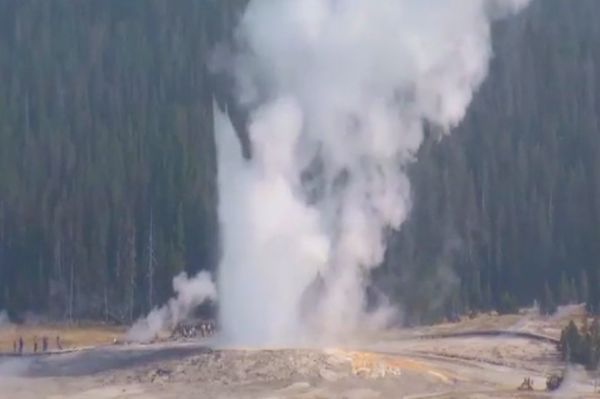 Giantess Geyser Erupts for First Time in Six Years in Yellowstone